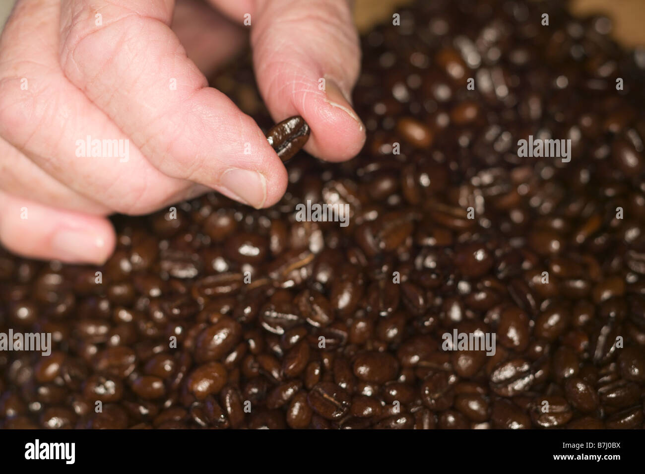 Espresso coffee beans, B.C Stock Photo - Alamy