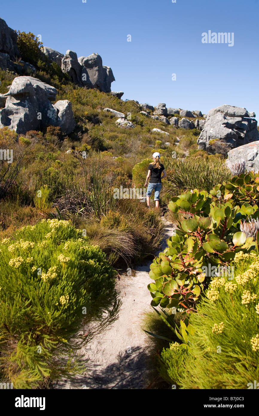 Maclear’s beacon hi-res stock photography and images - Alamy