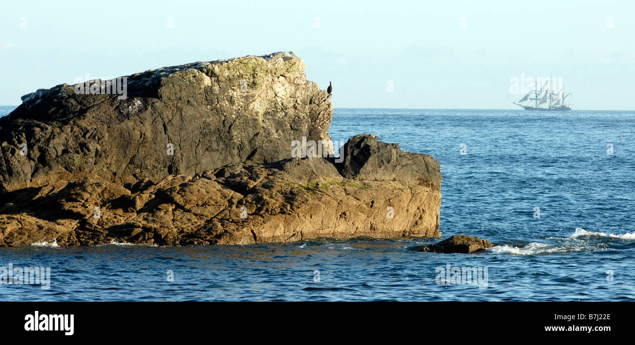 The Lizard Peninsula, Cornwall, England. Cormorant with sailing ship on ...