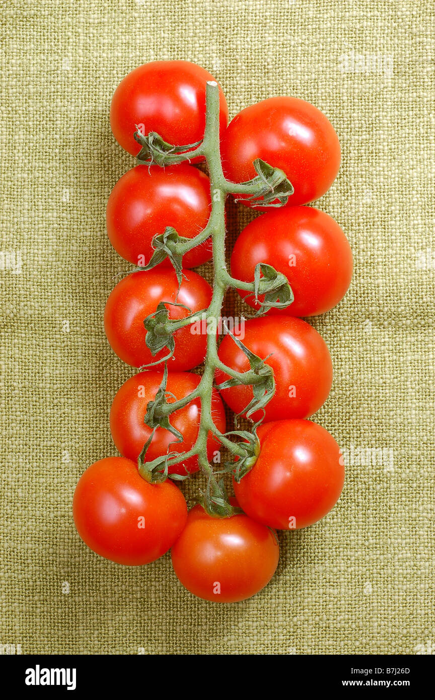 Vine ripened tomatoes on white background hi-res stock photography and ...