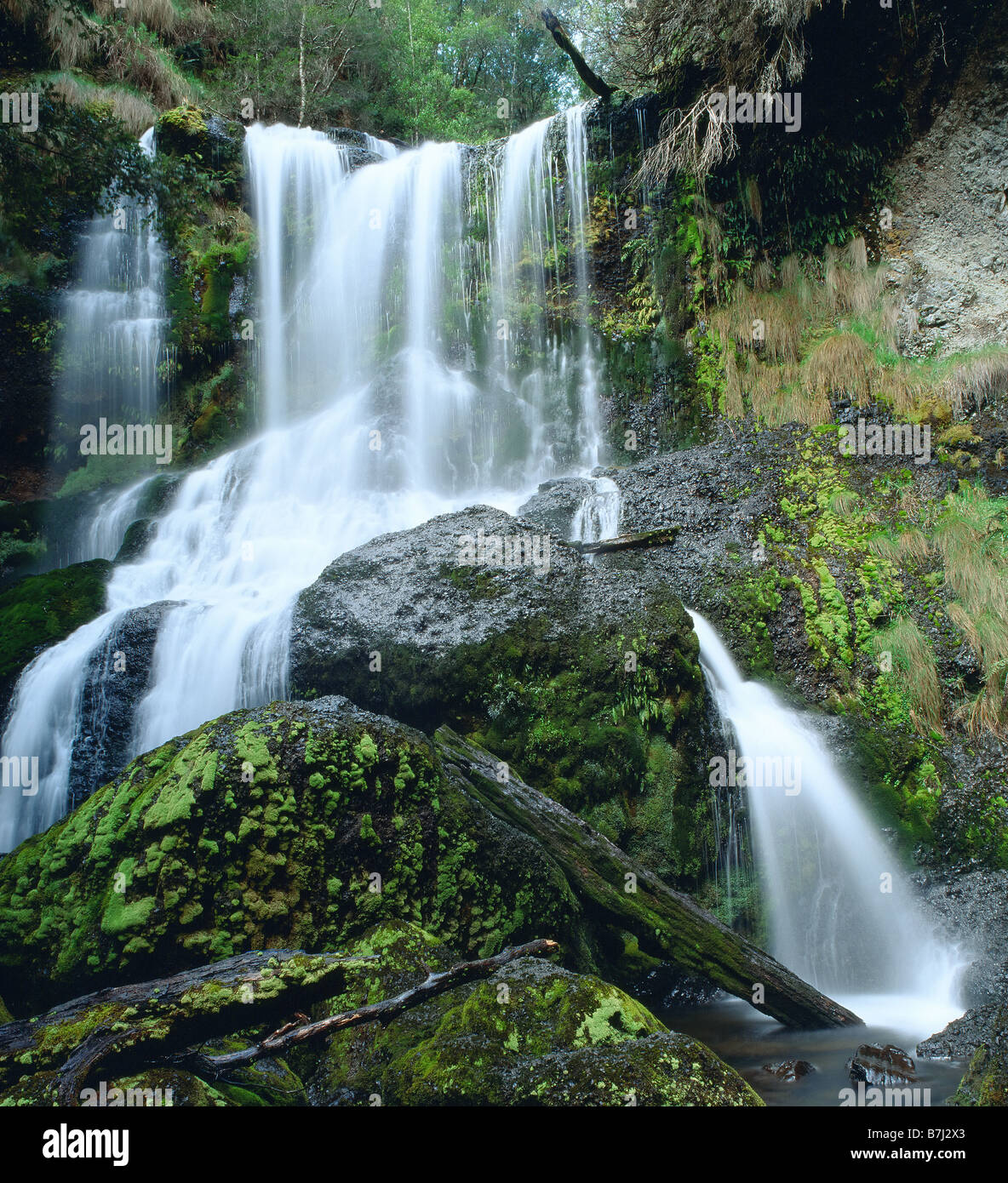 Tasmania waterfalls cascades hi-res stock photography and images - Alamy