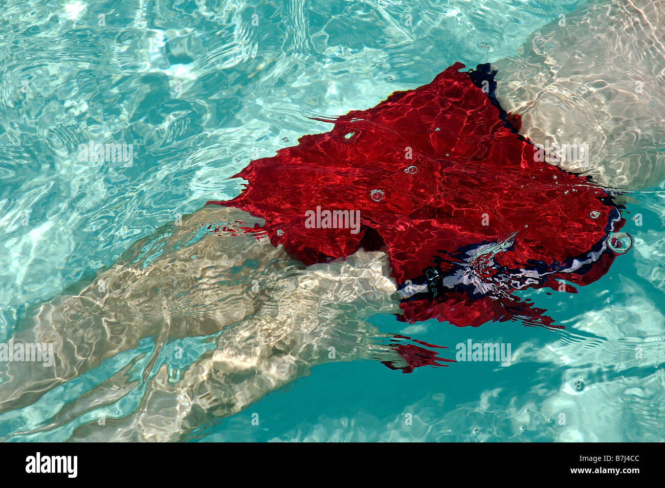 Figure floating in outdoor swimming pool, Provence, France Stock Photo ...