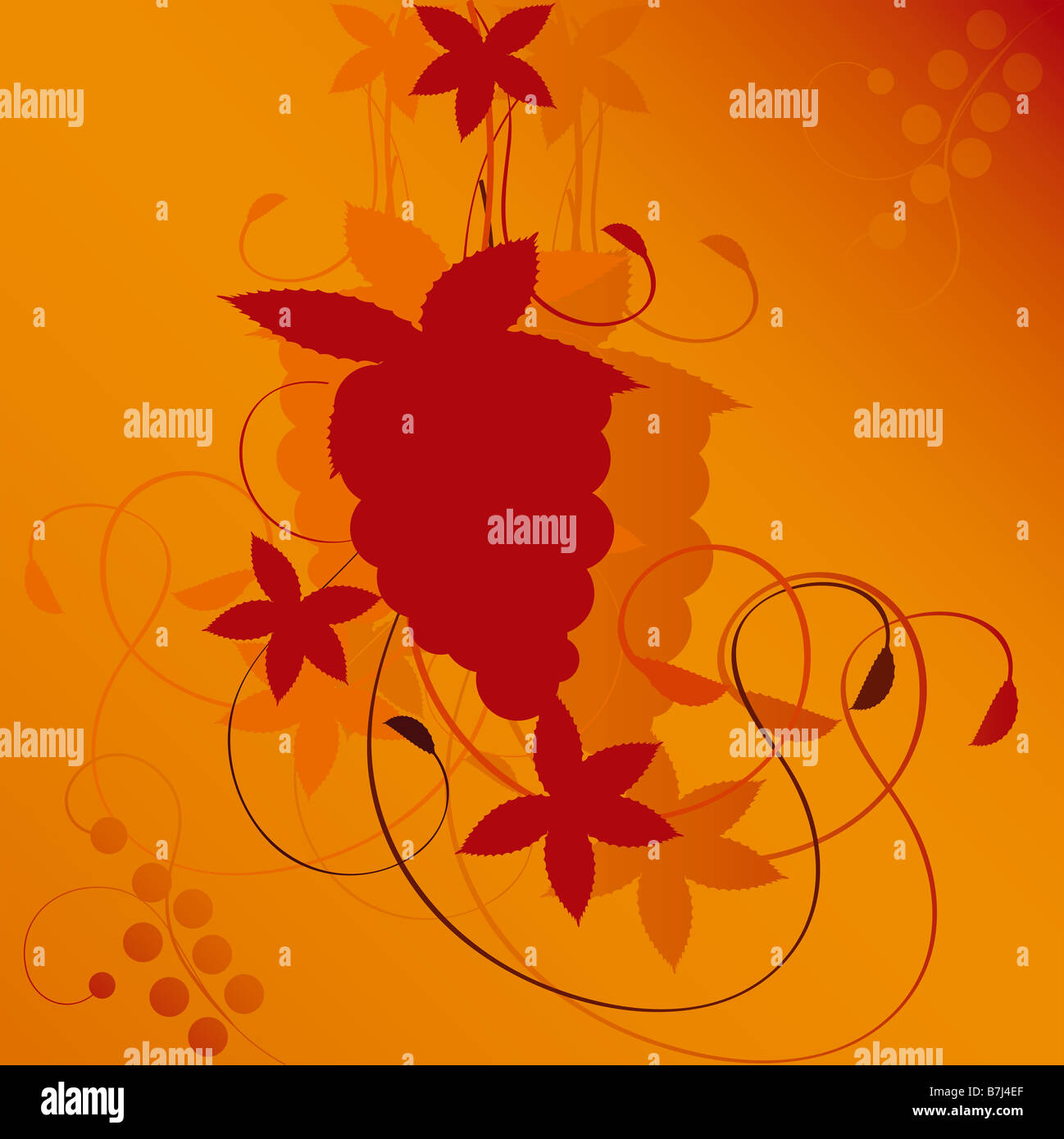 autumn grapevine background Stock Photo - Alamy