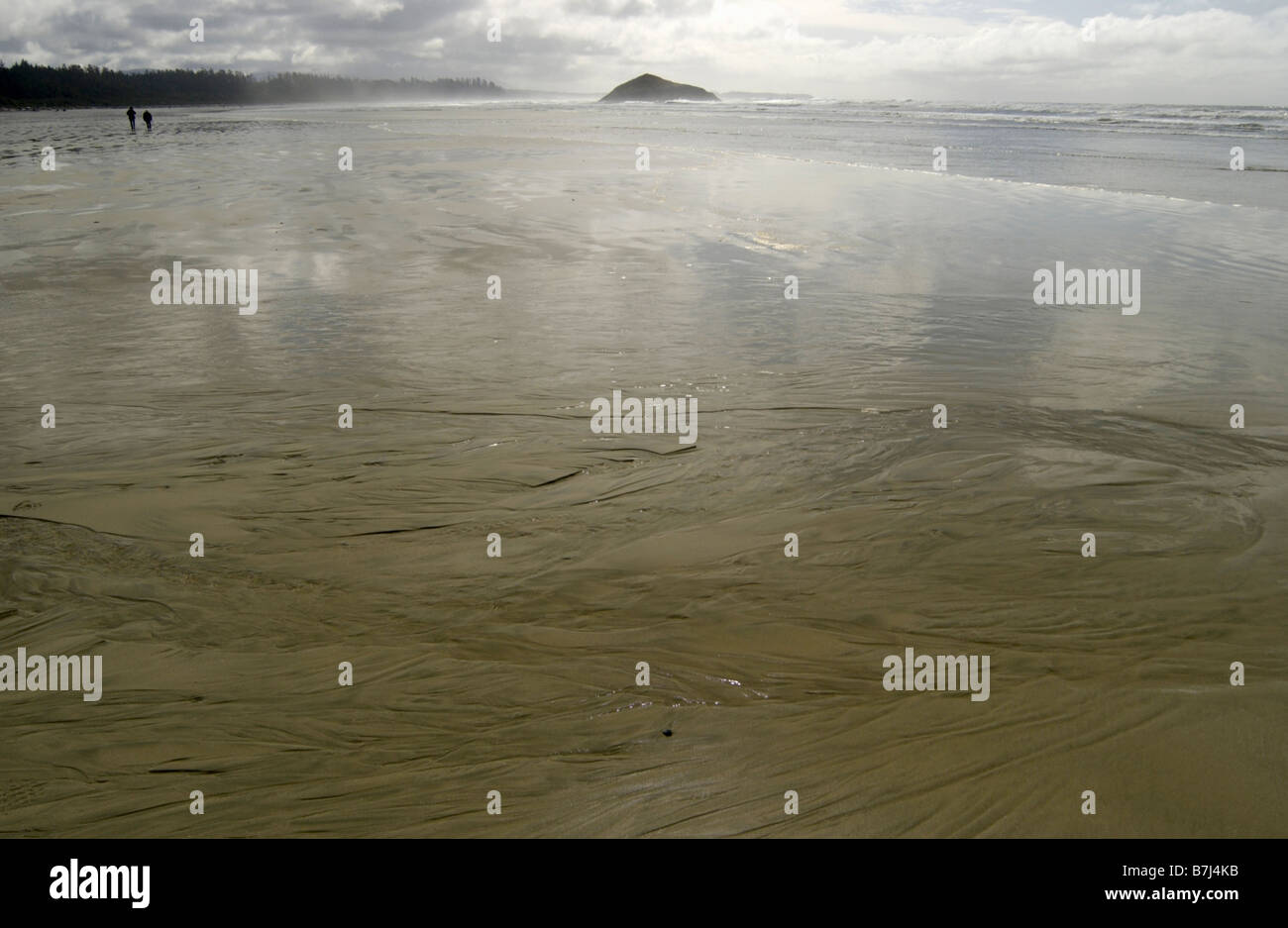 Sandy beach with a reflection, Long Beach, Pacific Rim National Park ...