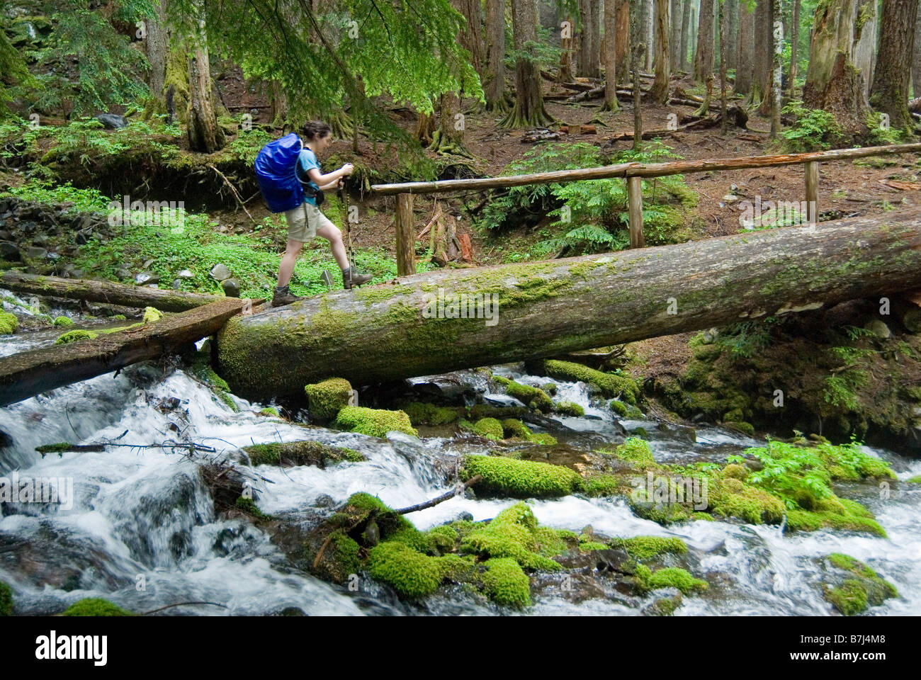 Woman (20-25) crosses a log footbridge over a river while hiking, Sol ...