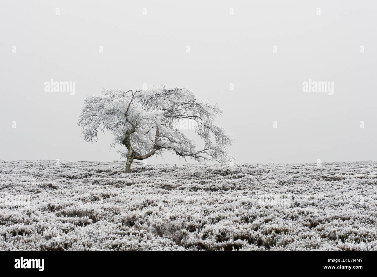 Burbage moor hi-res stock photography and images - Alamy