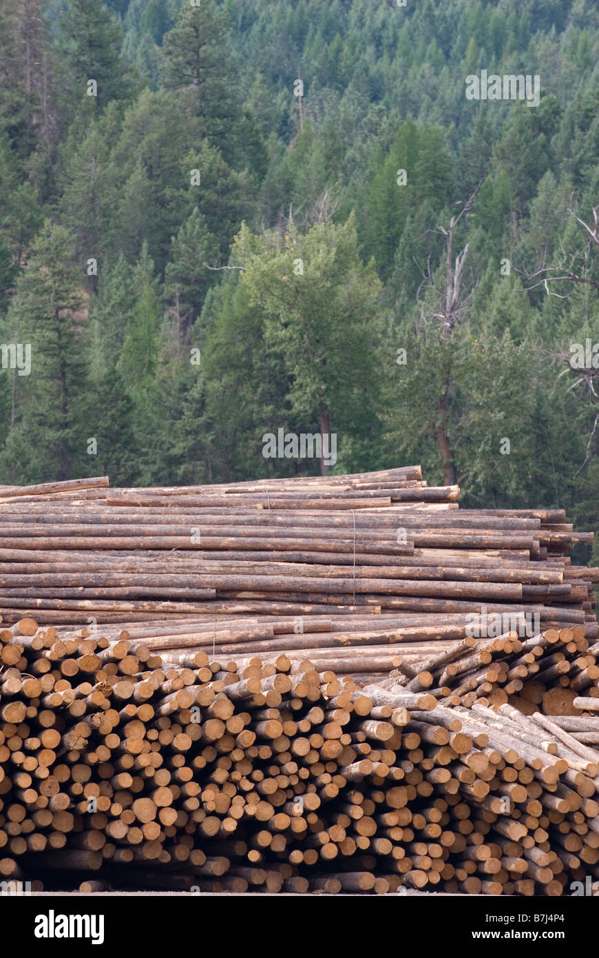 Timber processing plants hi-res stock photography and images - Alamy