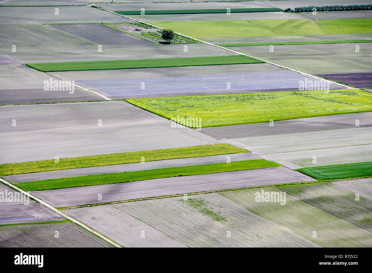 Agriculture in Savoie, France (small fields Stock Photo - Alamy