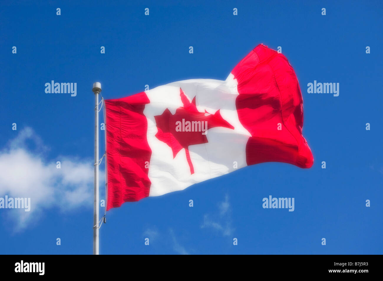 Canadian flag maple leaf images hi-res stock photography and images - Alamy