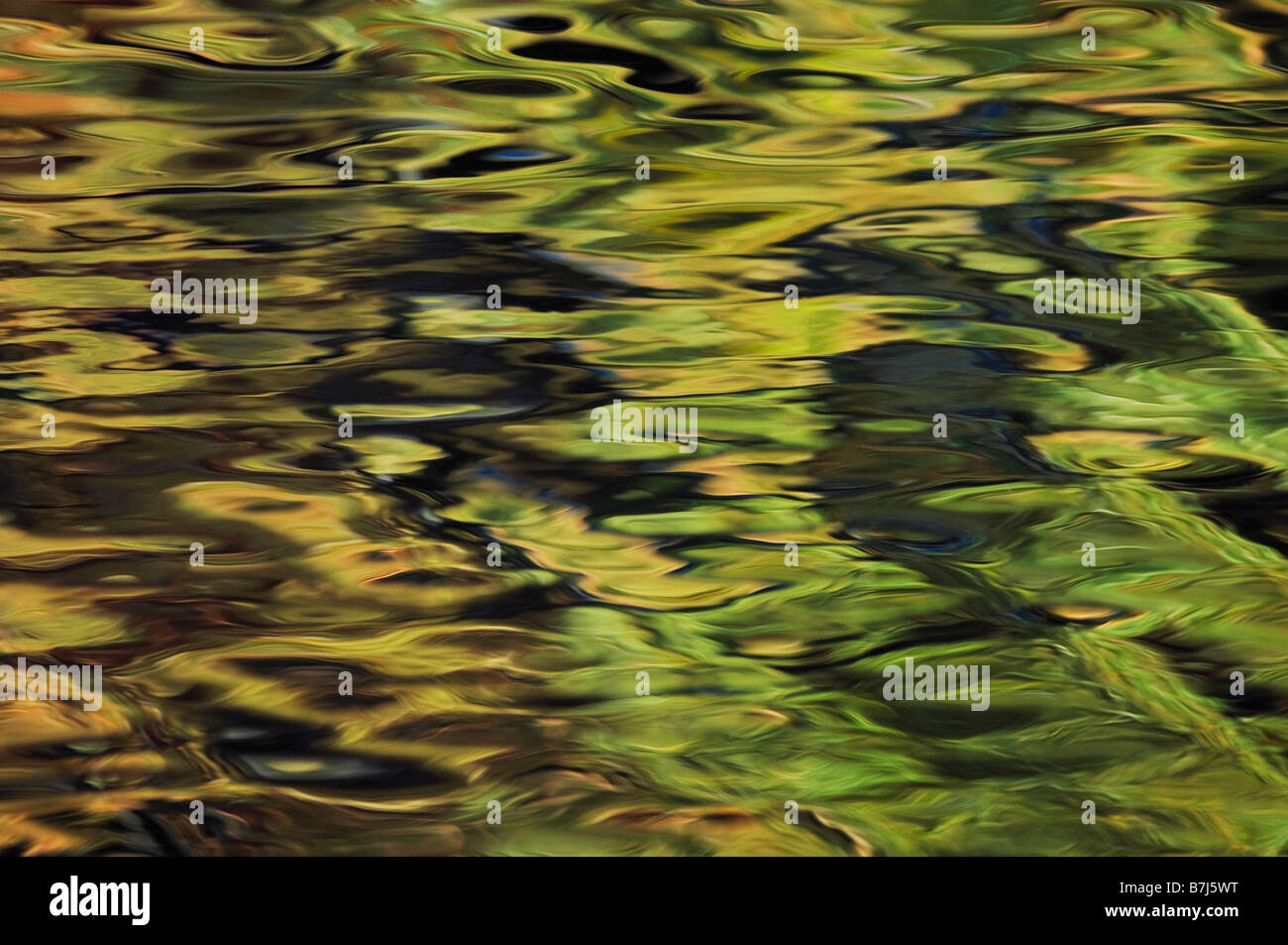 Oak and Maple trees reflections in water. Autumn Stock Photo - Alamy