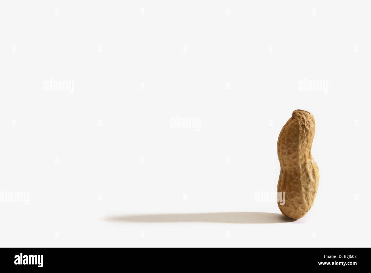 A Single Vertical Peanut Stock Photo - Alamy