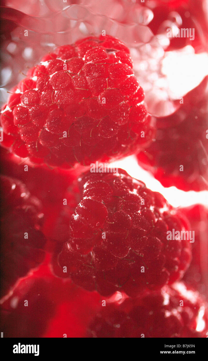 Raspberries floating in water Stock Photo - Alamy