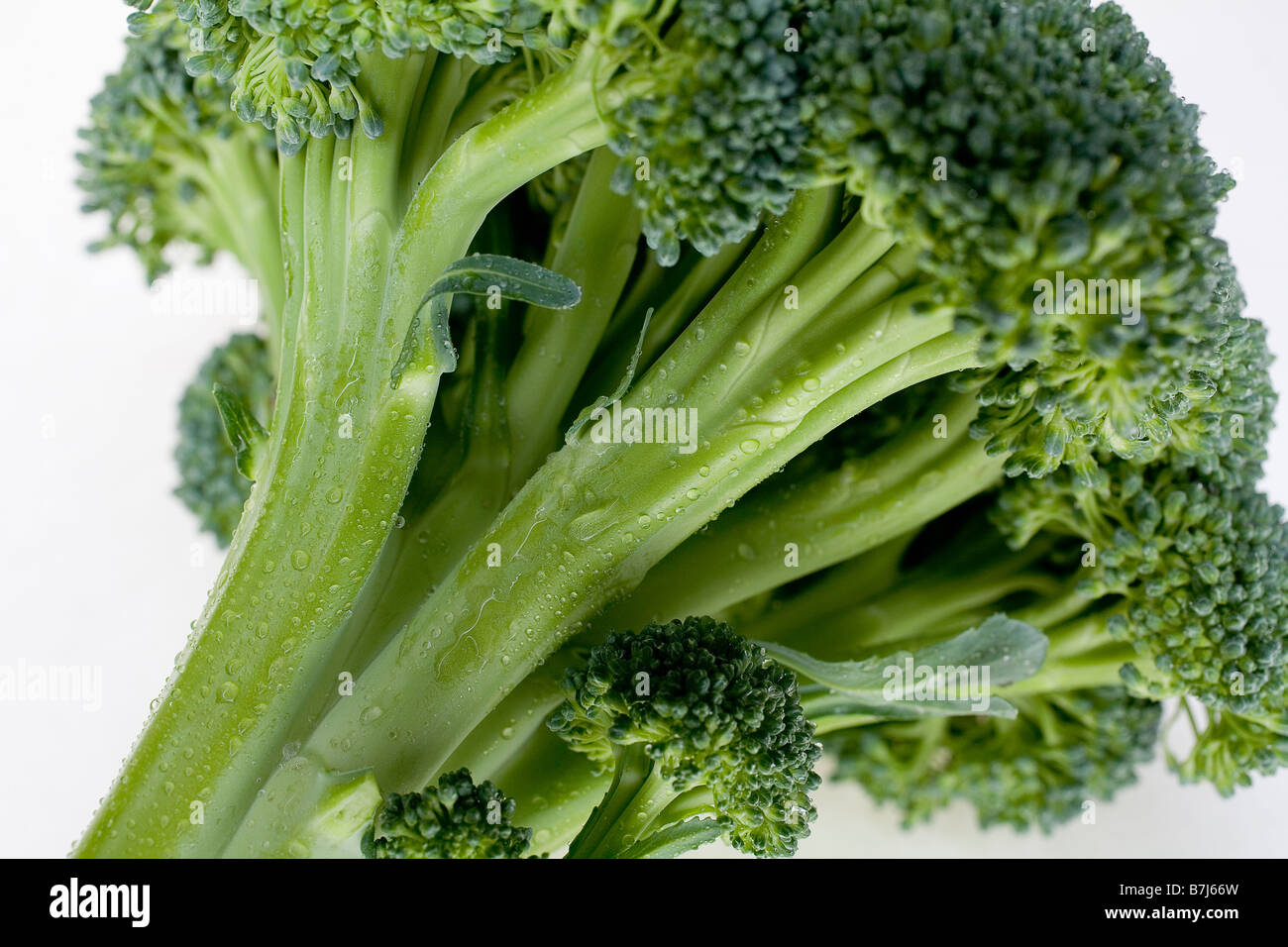 Broccoli single objects vegetables hi-res stock photography and images ...