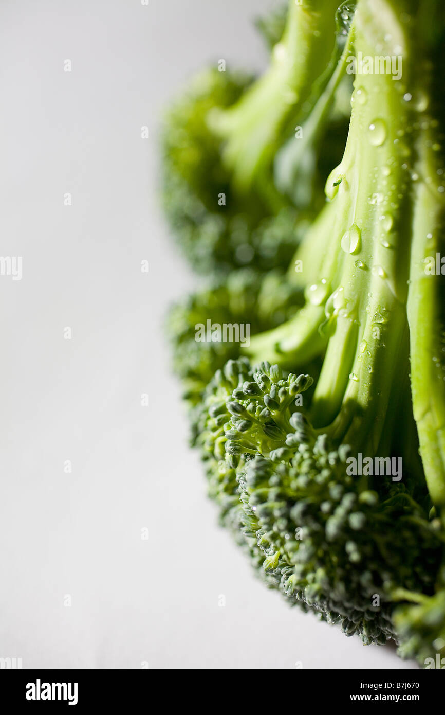 Close-up of section of broccoli Stock Photo - Alamy
