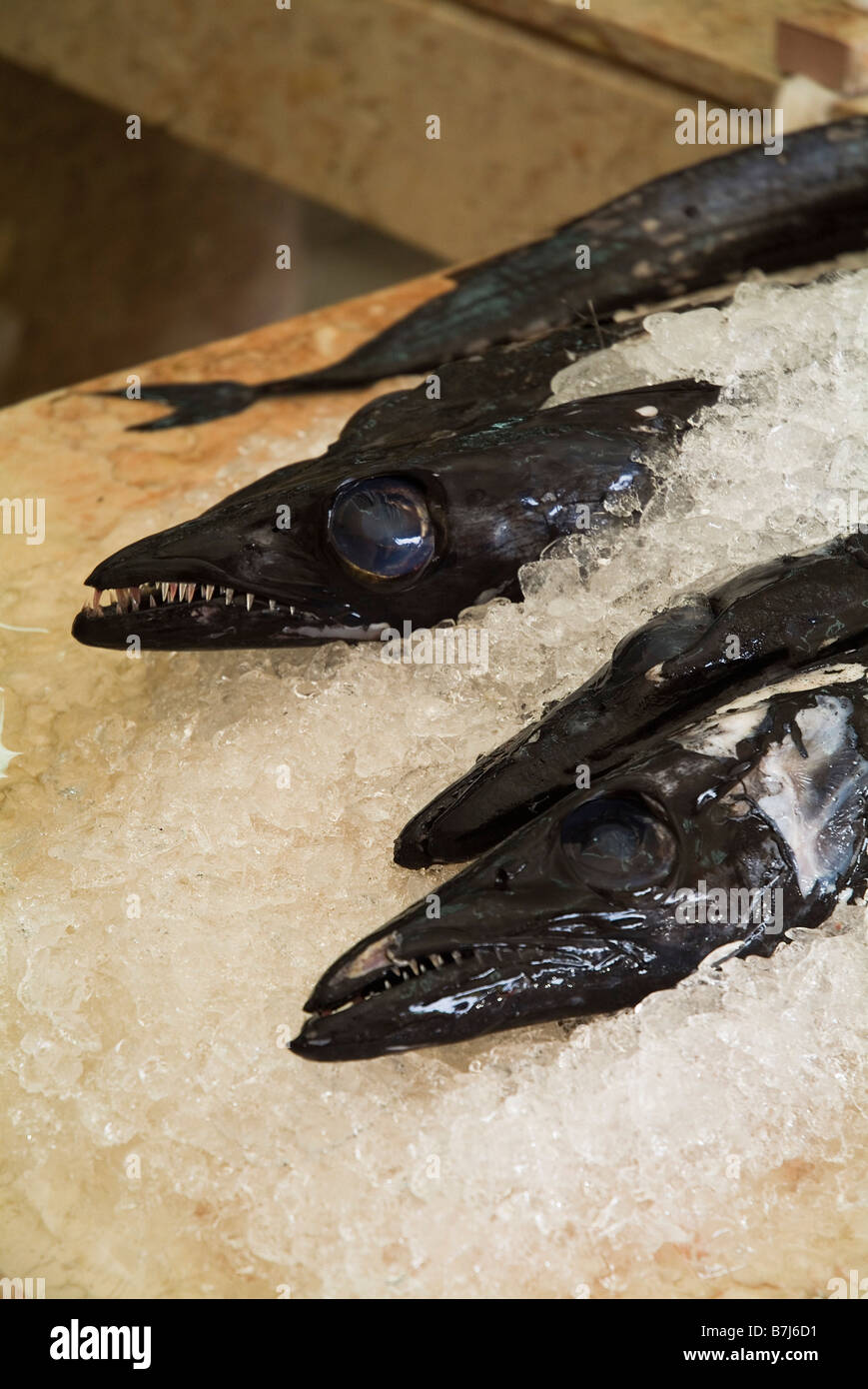 dh Espada FISH MADEIRA Black scabbard fish on ice market stall Stock ...