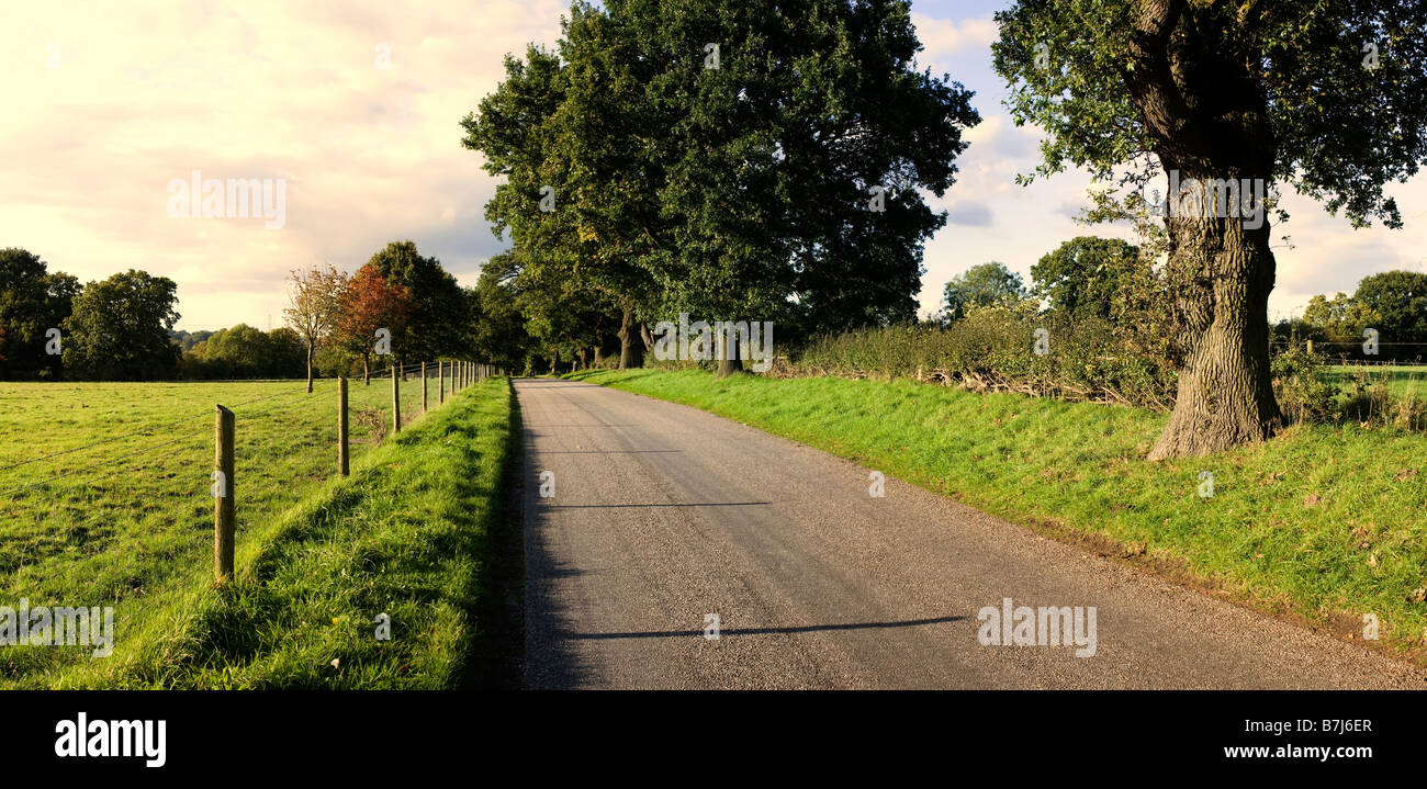a road through a country estate Stock Photo - Alamy