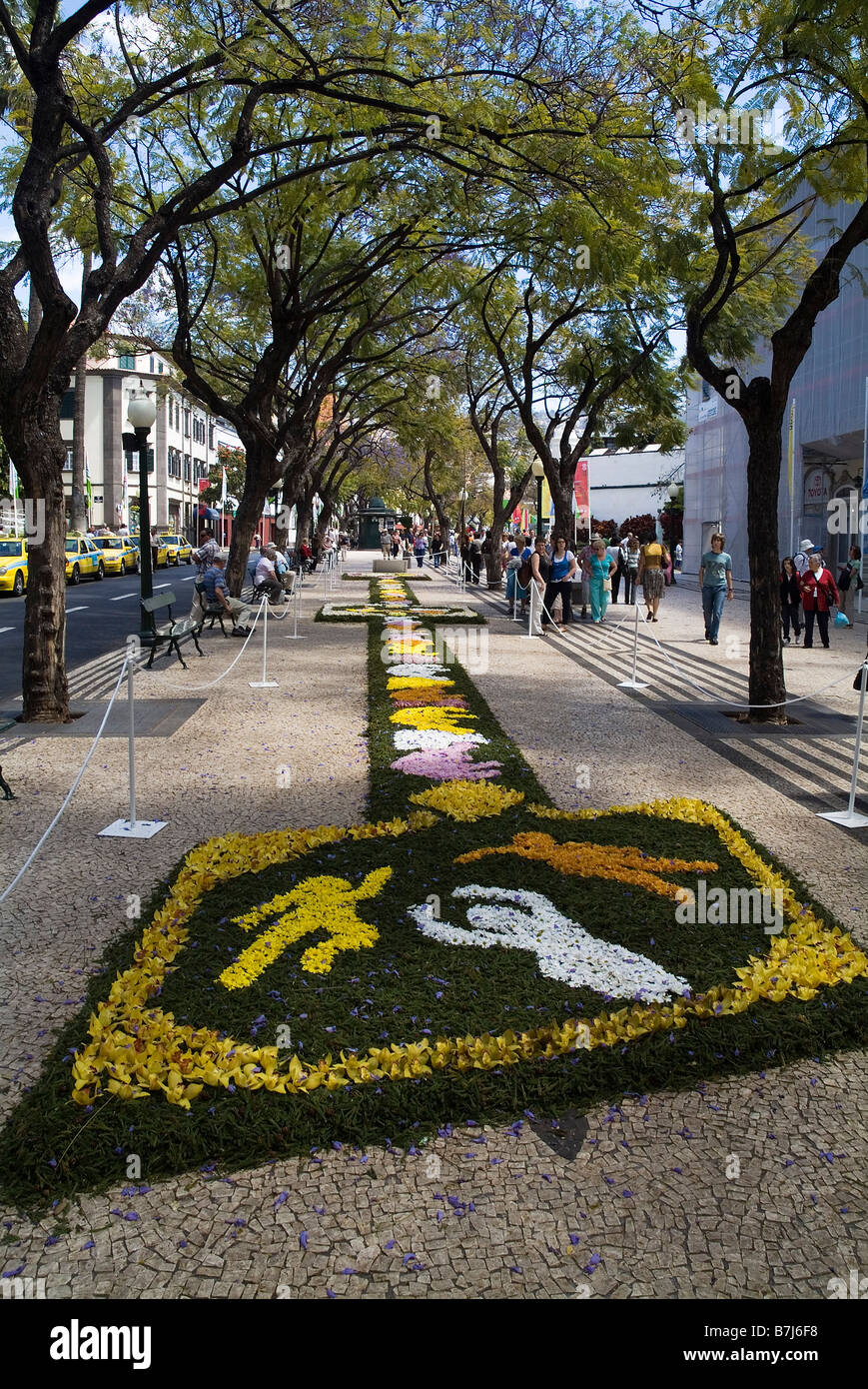 Funchal madeira art hi-res stock photography and images - Alamy
