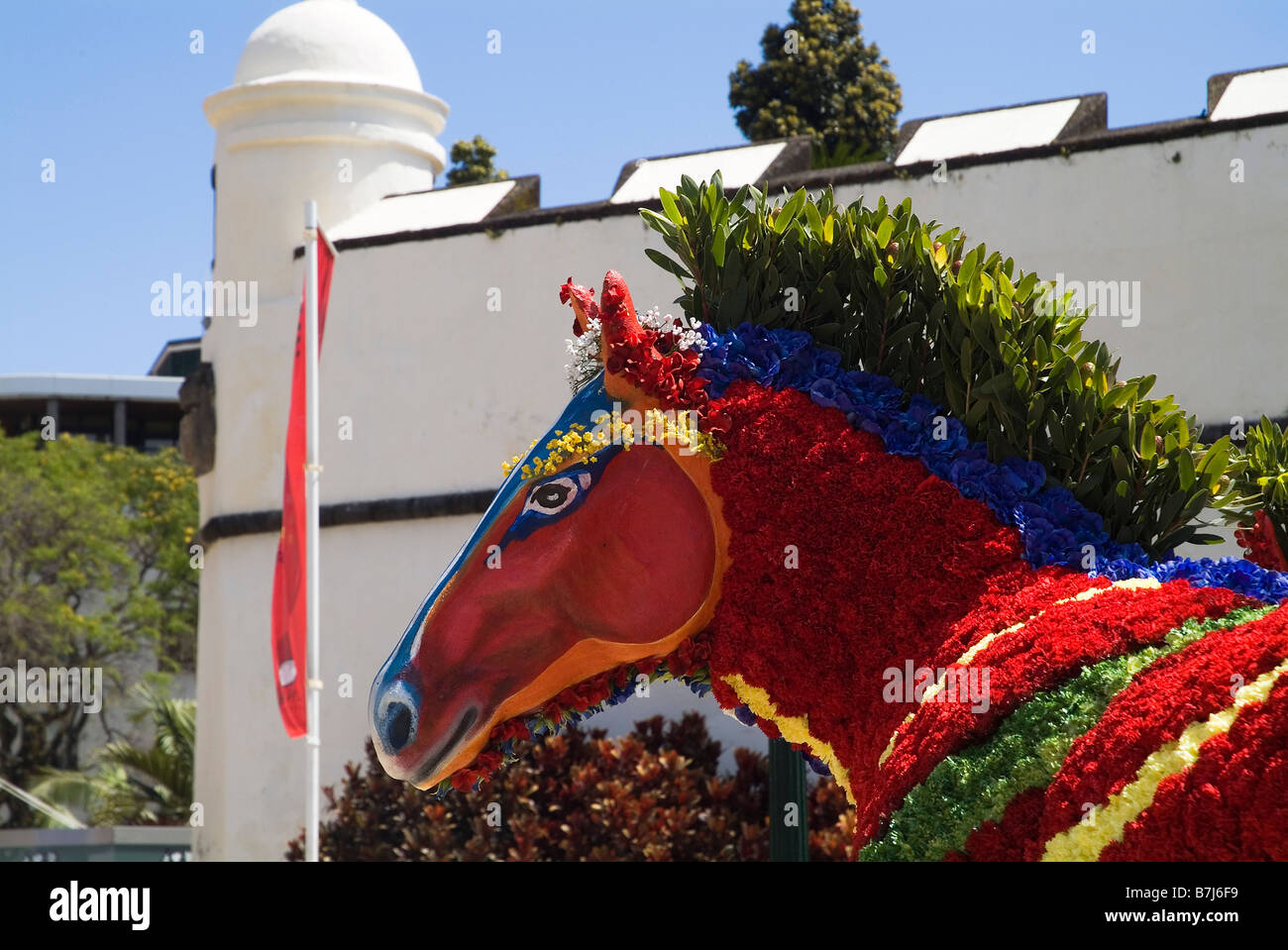 dh Flower Festival FUNCHAL MADEIRA Model horse decorated with fresh ...