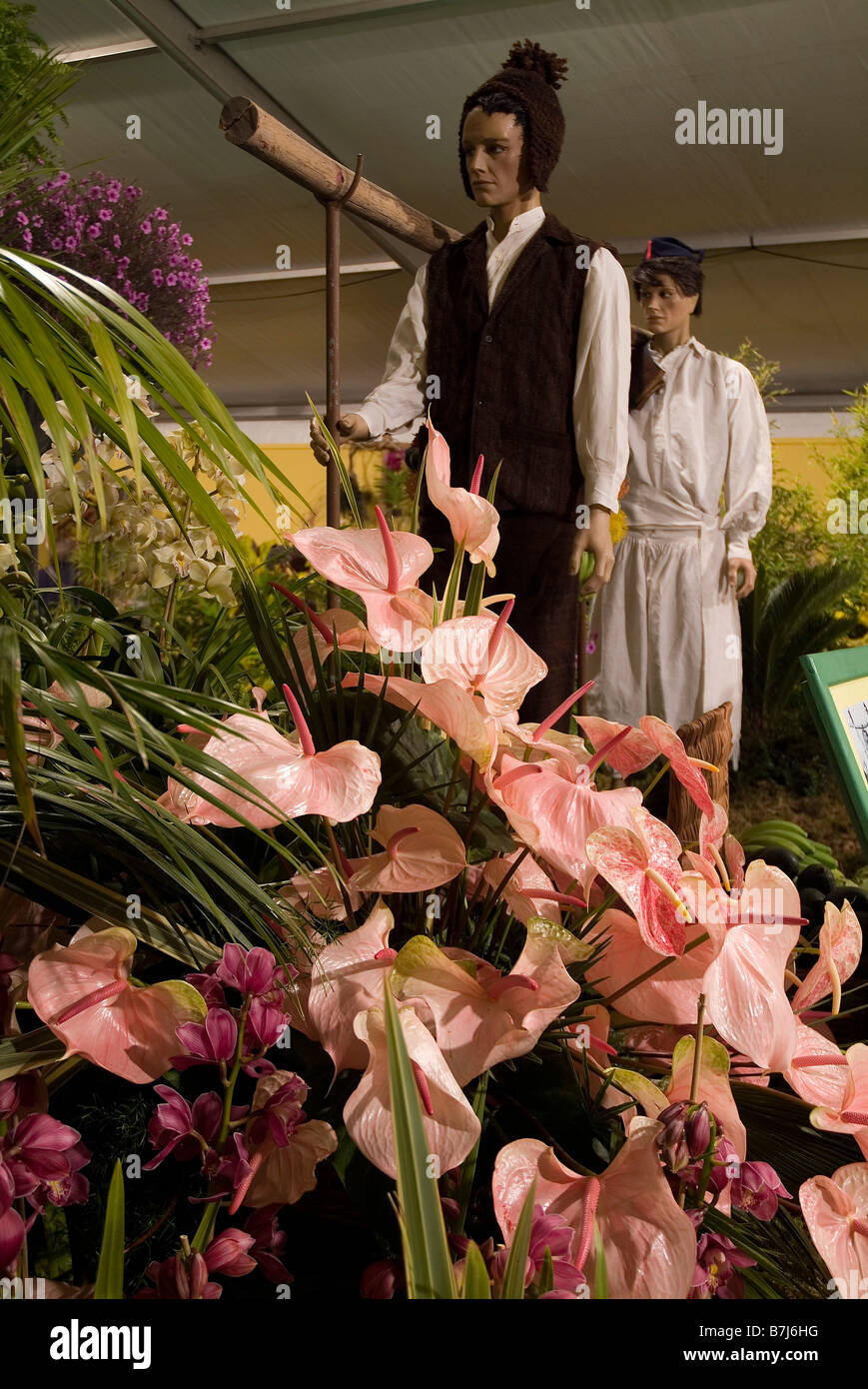 dh Flower Festival FUNCHAL MADEIRA Flower display in exhibition Marquee ...