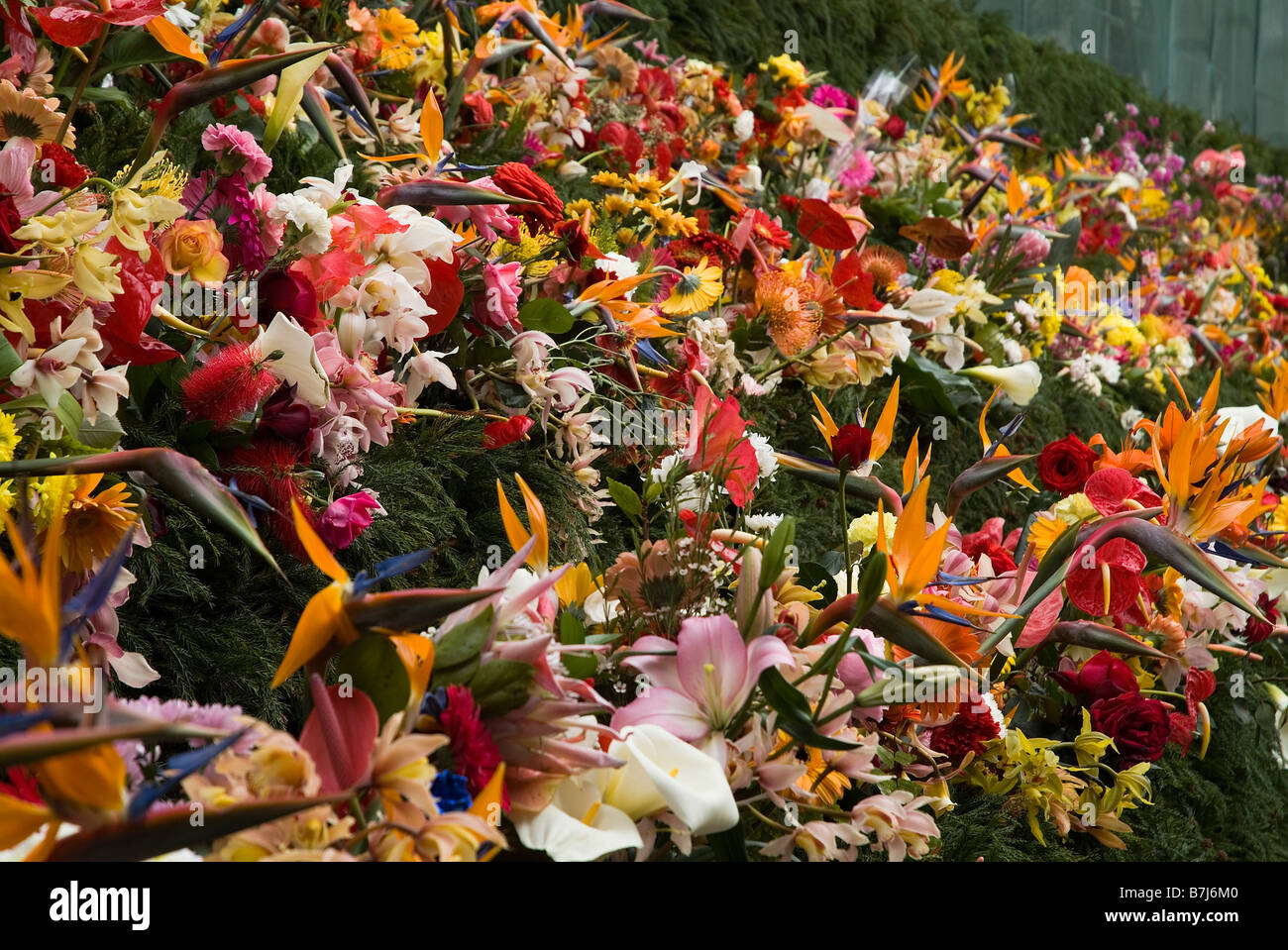 dh Flower Festival FUNCHAL MADEIRA Wall of Hope flower display Stock ...