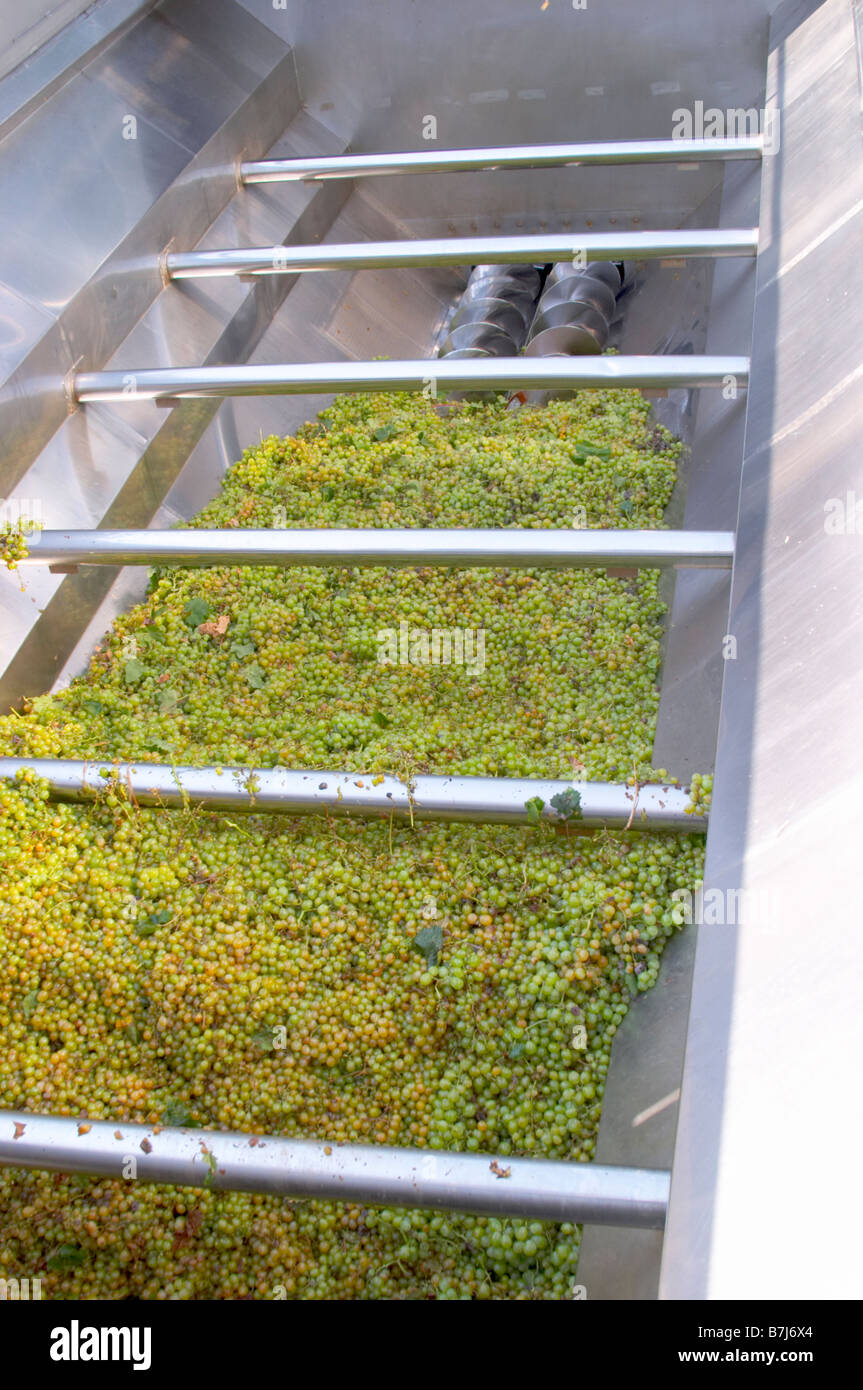 Grape reception hopper. Torres Penedes Catalonia Spain Stock Photo - Alamy