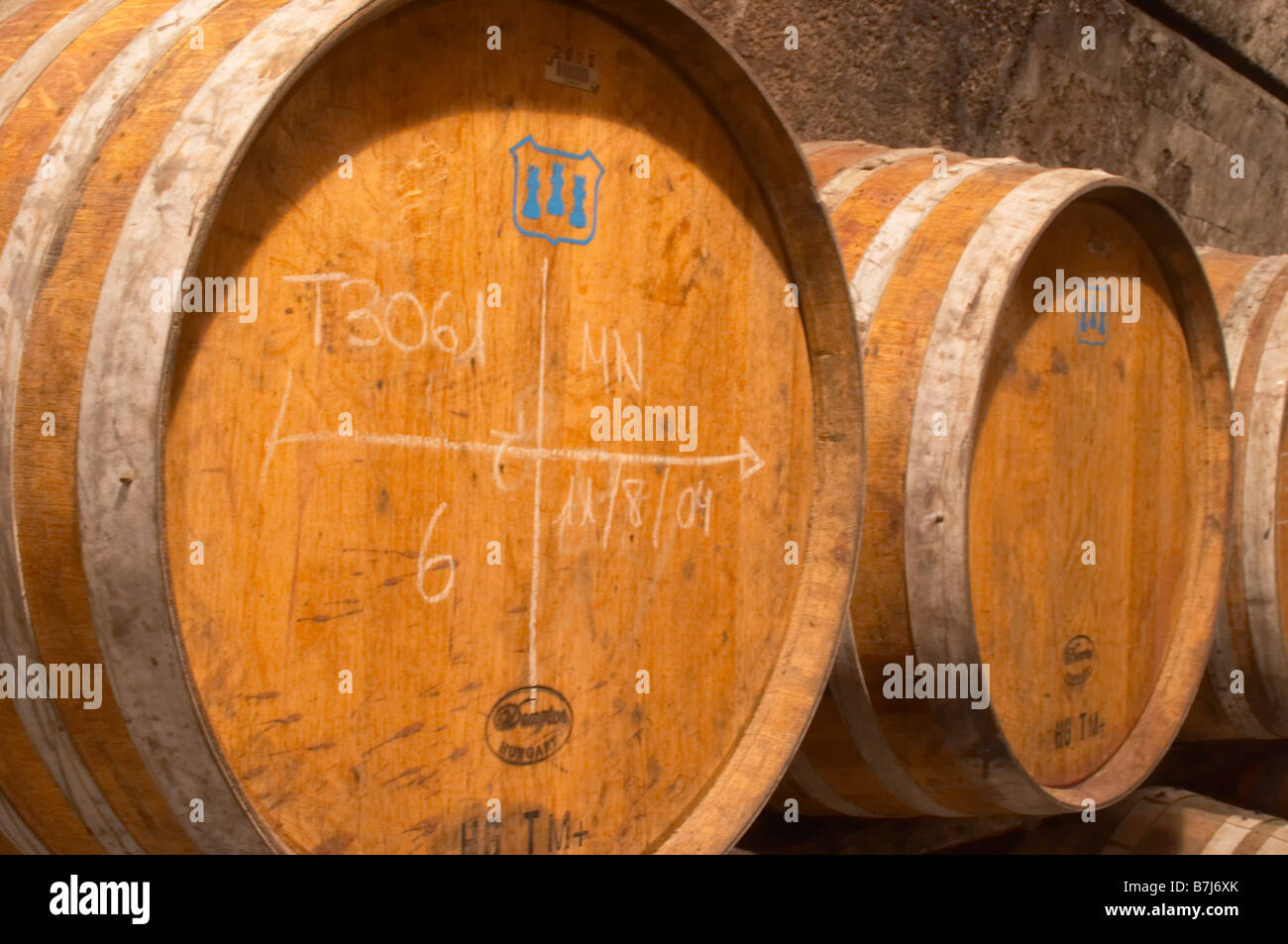 Wine aging in barrels. Oak barrel aging and fermentation cellar. Torres ...