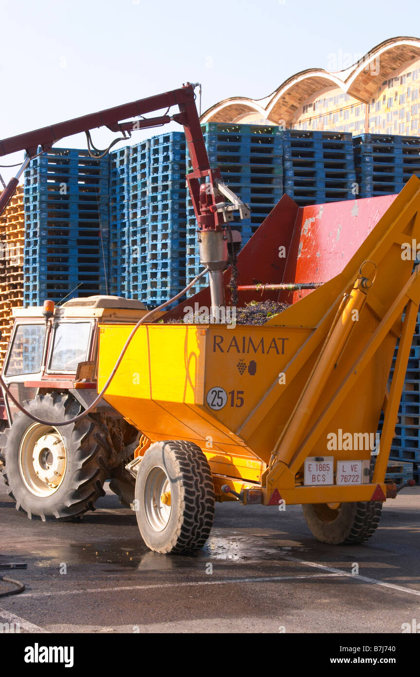 Grape delivery hi-res stock photography and images - Alamy