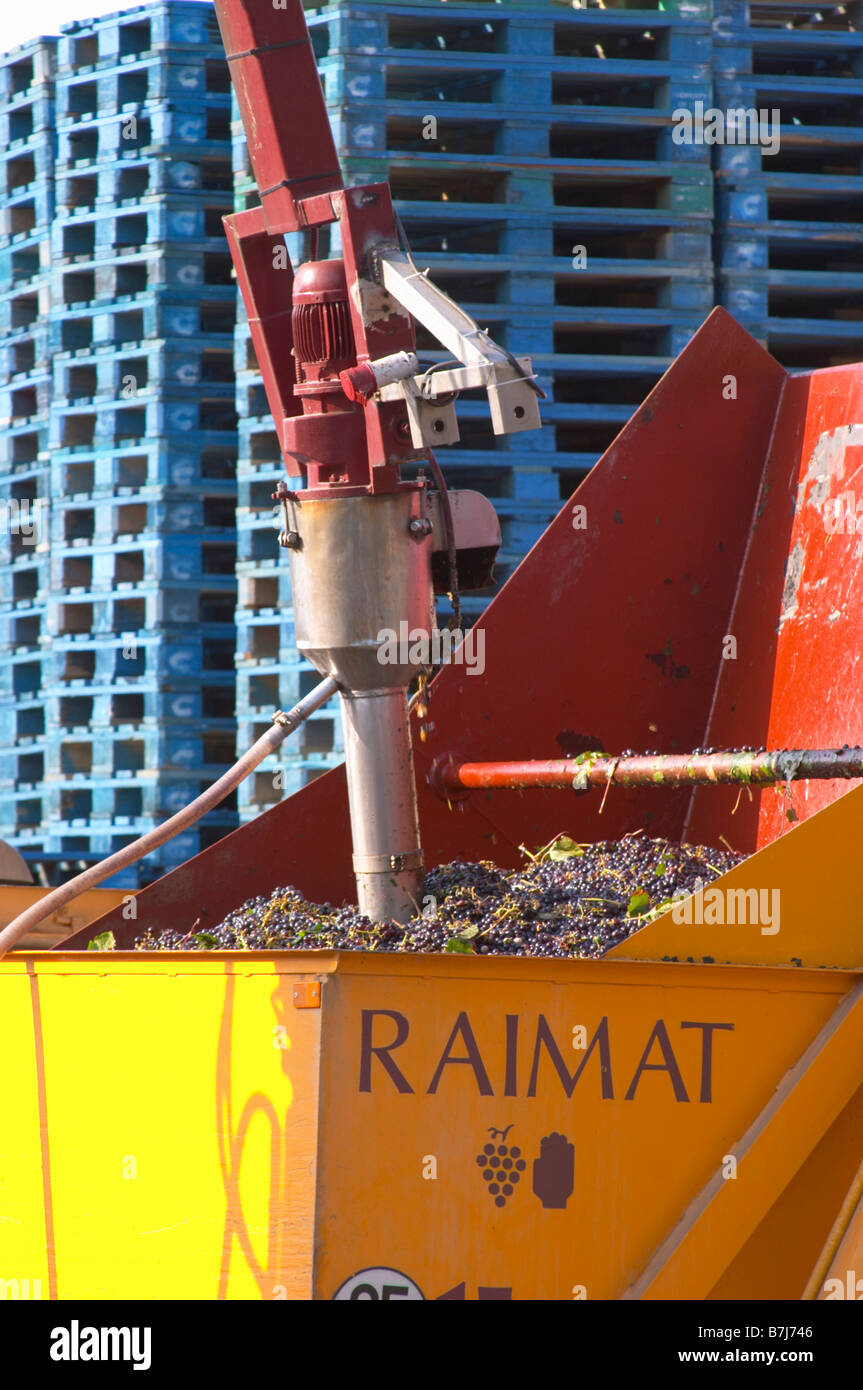 Grape delivery with tractors and containers. Probe to test the grape ...