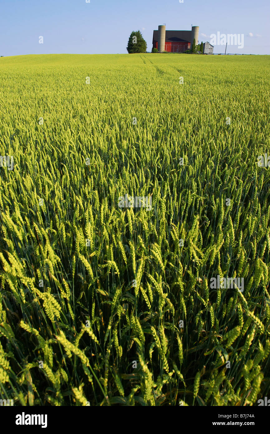 Farm farms farming barn barns silo silos field fields crops hi-res ...