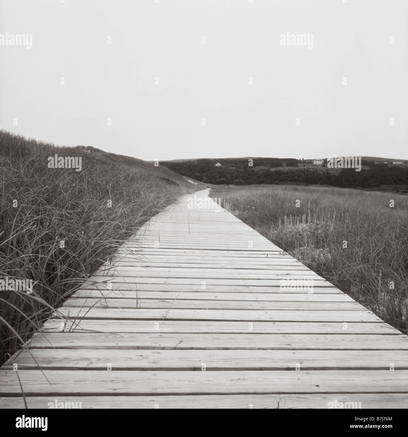 Boardwalk, Amherst Cove, PEI Stock Photo - Alamy