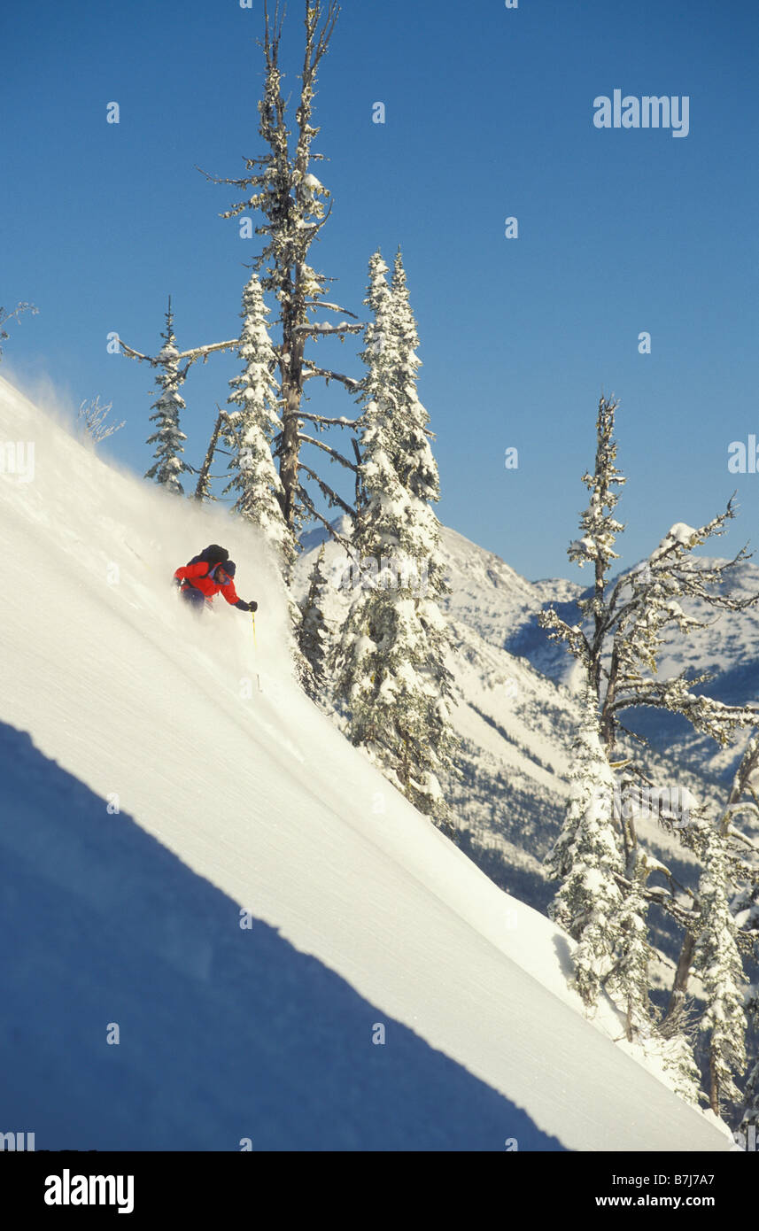 Young man skiing fresh powder on steep slope at Fernie Alpine Resort ...