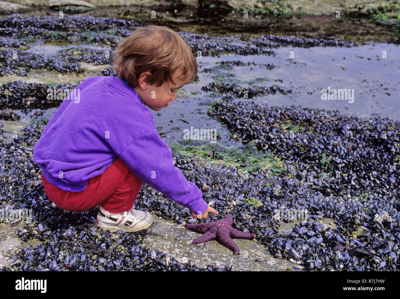 Person touches fish hi-res stock photography and images - Alamy