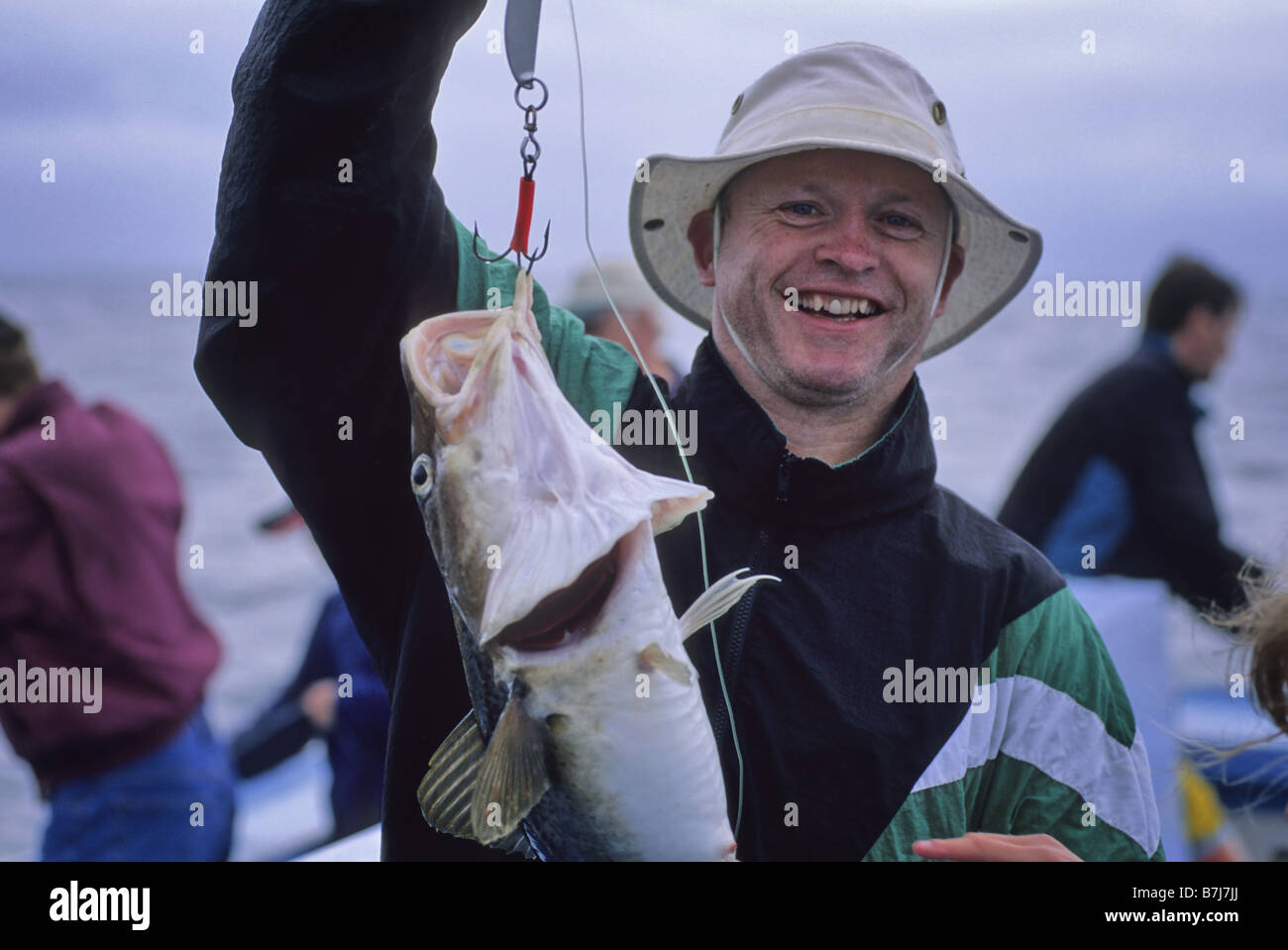 Cod fishing underwater hi-res stock photography and images - Alamy