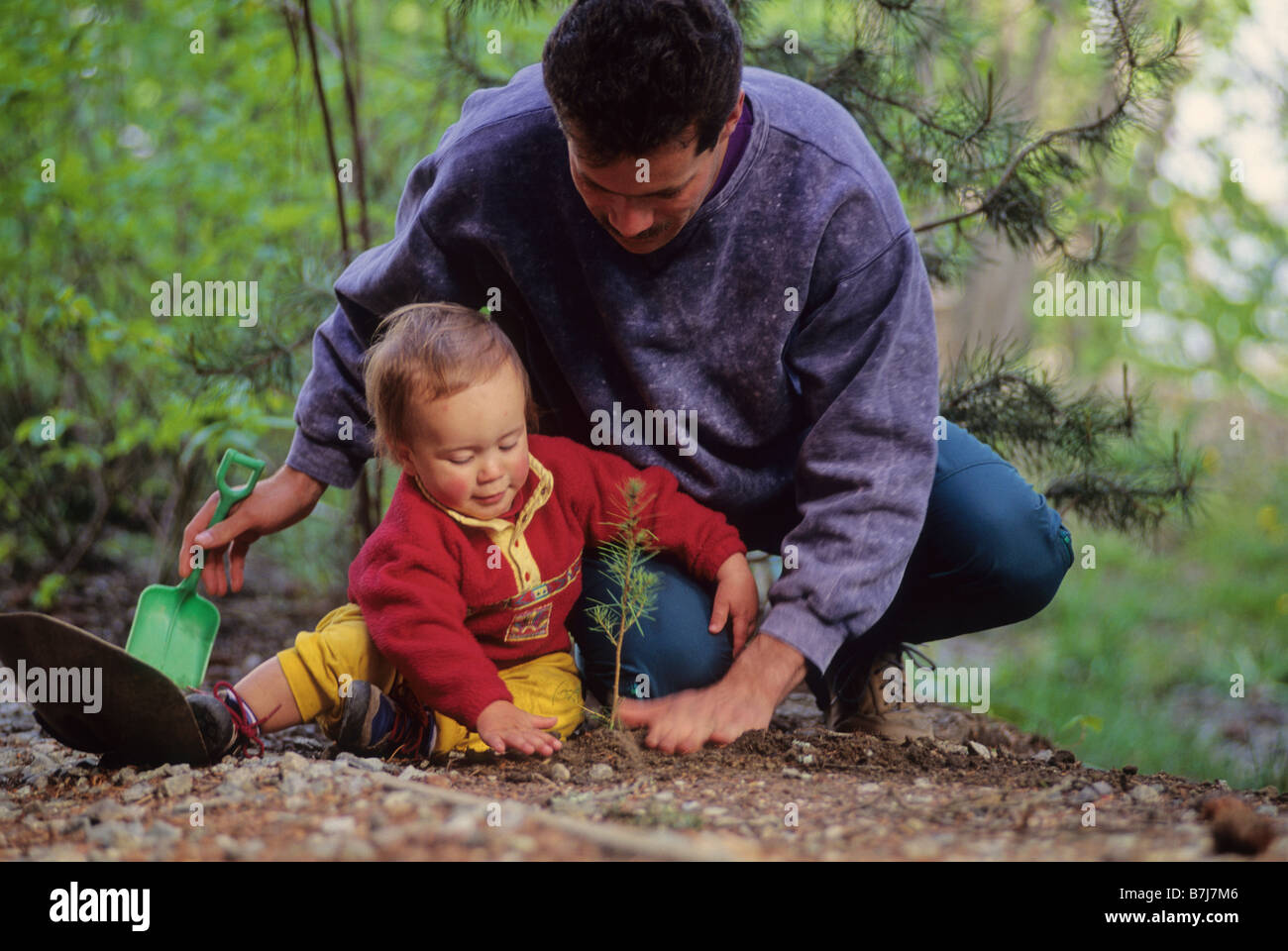 Plant Parent And Seedlings High Resolution Stock Photography and Images ...