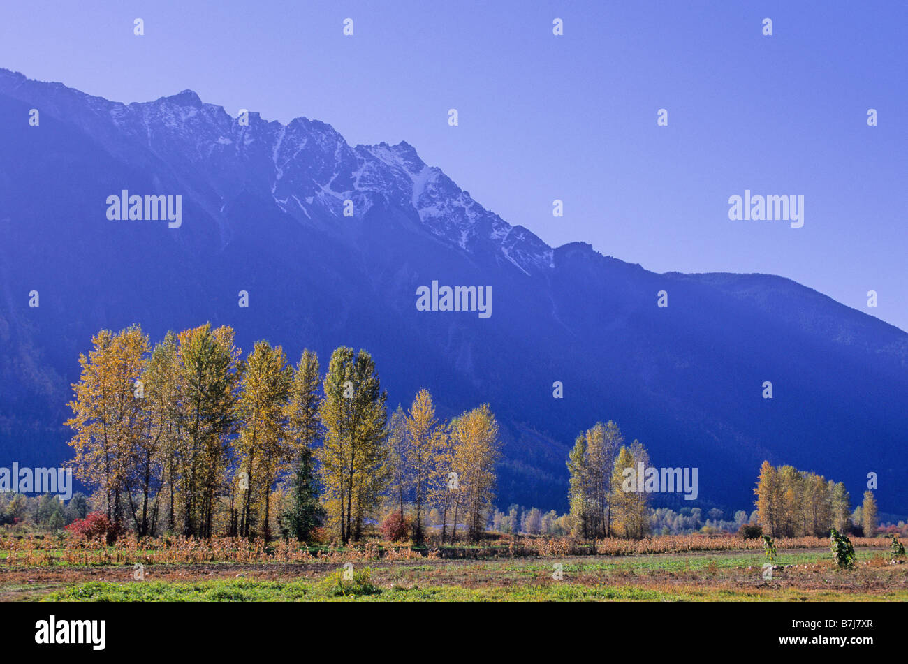 Mount currie hi-res stock photography and images - Alamy