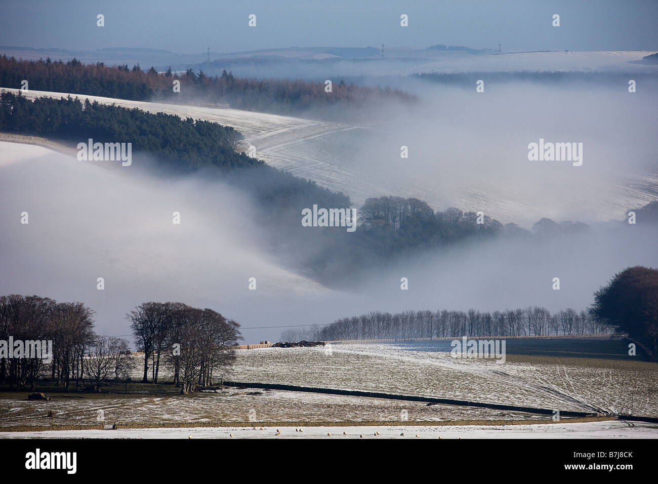 Longformacus tourism hi-res stock photography and images - Alamy