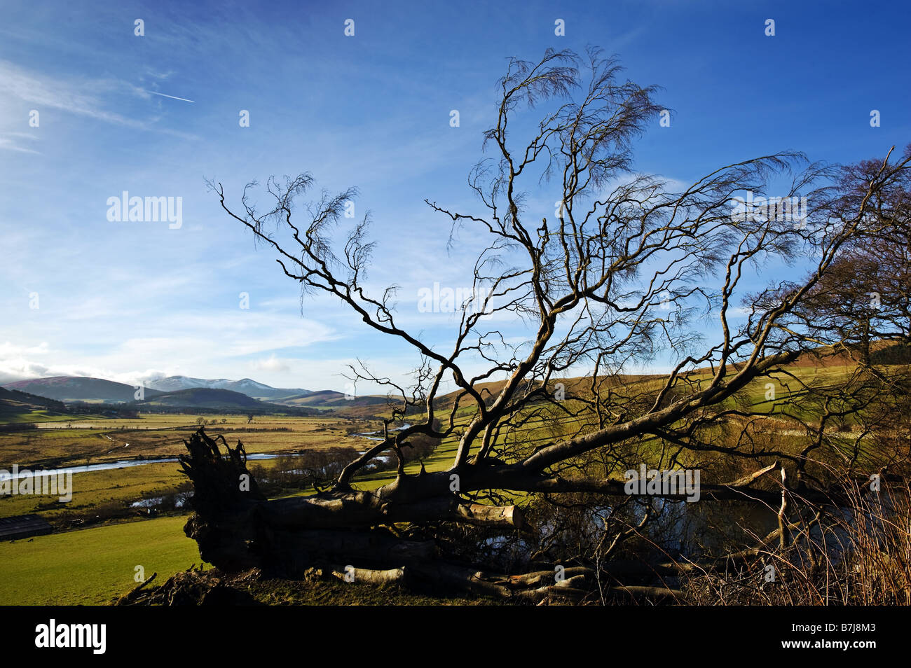 Scotish borders hi-res stock photography and images - Alamy
