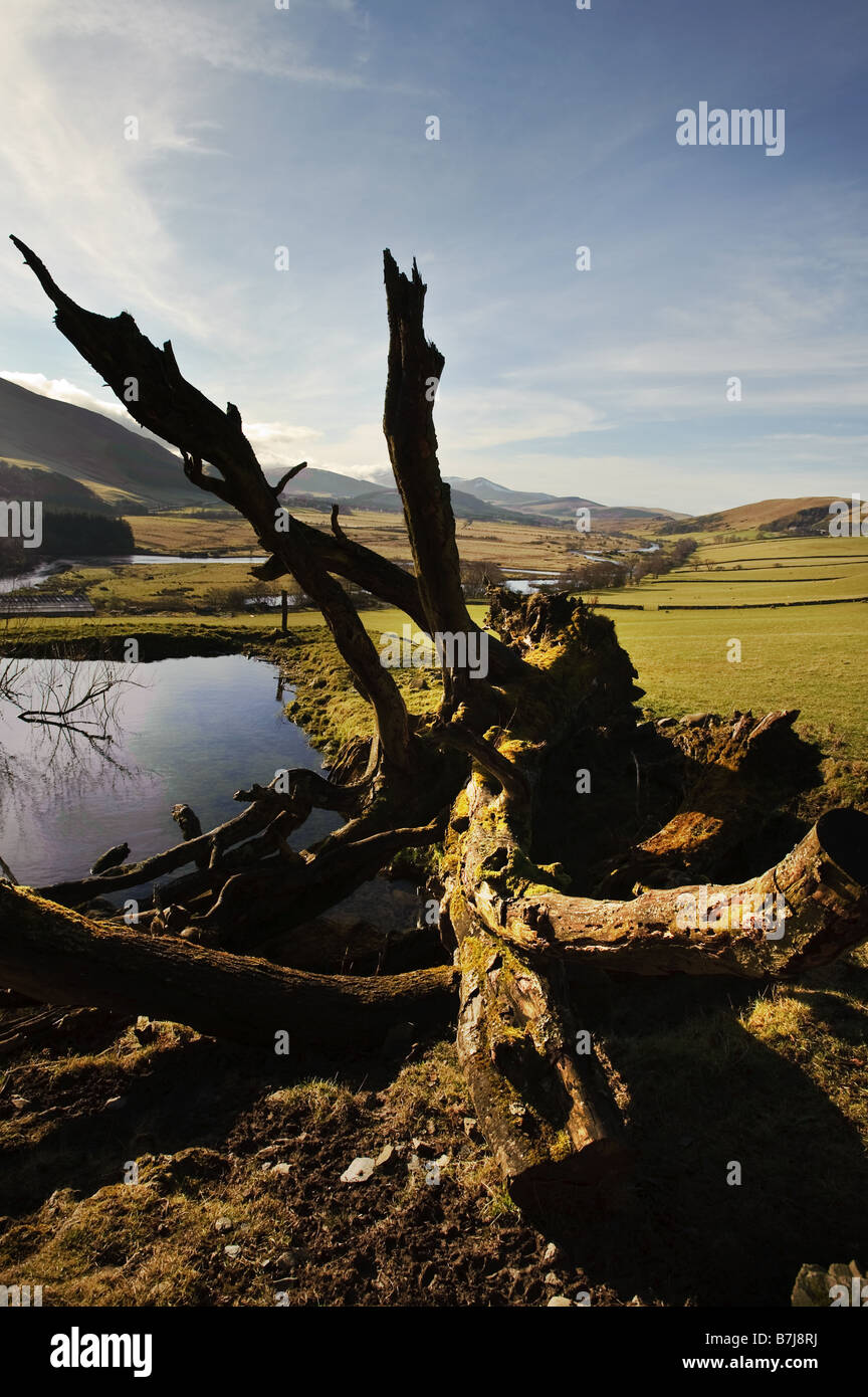 Scotish borders hi-res stock photography and images - Alamy