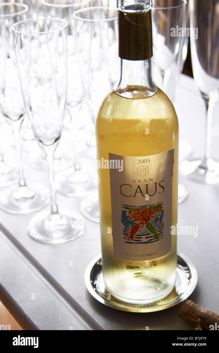 Can rafols dels caus hi-res stock photography and images - Alamy