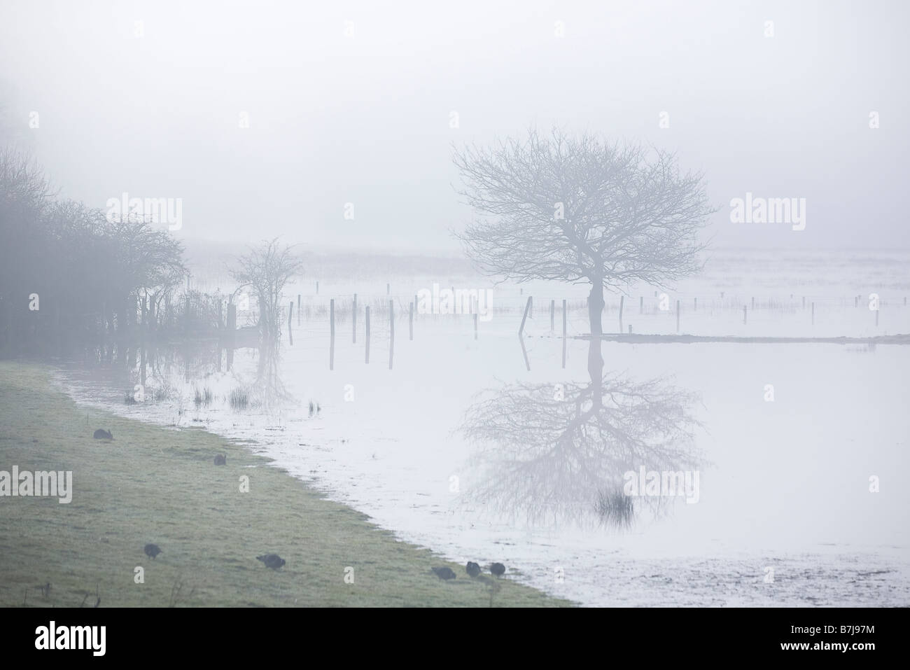 Pulborough landscape hi-res stock photography and images - Alamy
