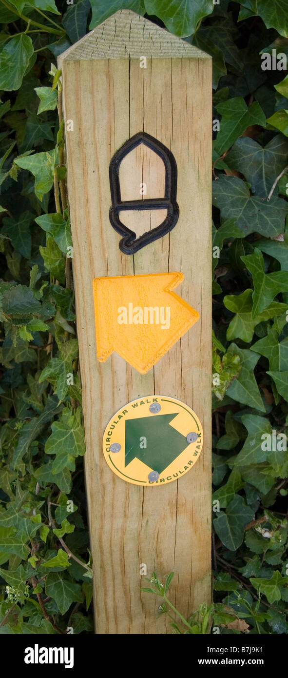 Waymarker sign acorn footpath hi-res stock photography and images - Alamy