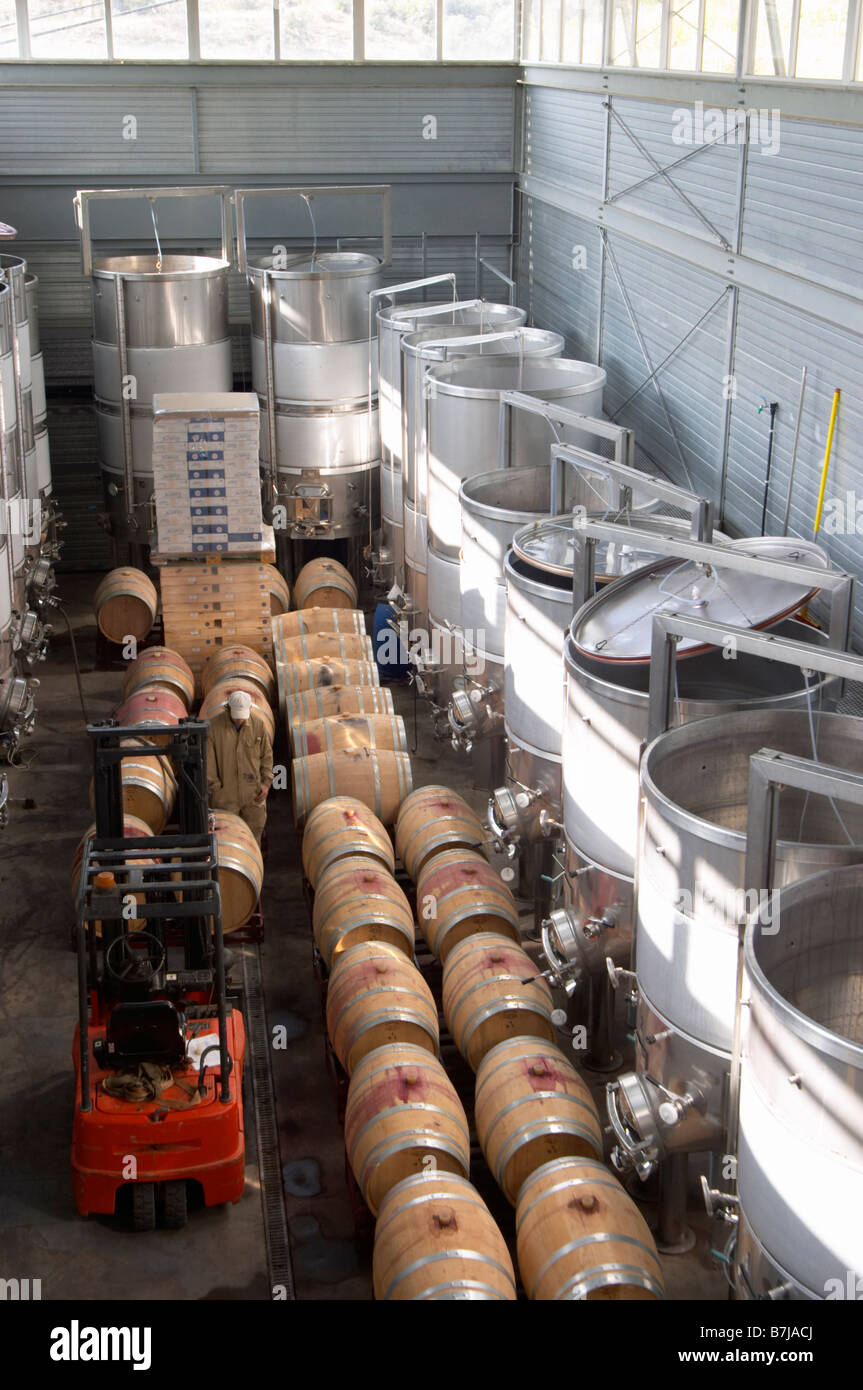 Oak barrel aging and fermentation cellar. Fermentation tanks. Mas ...