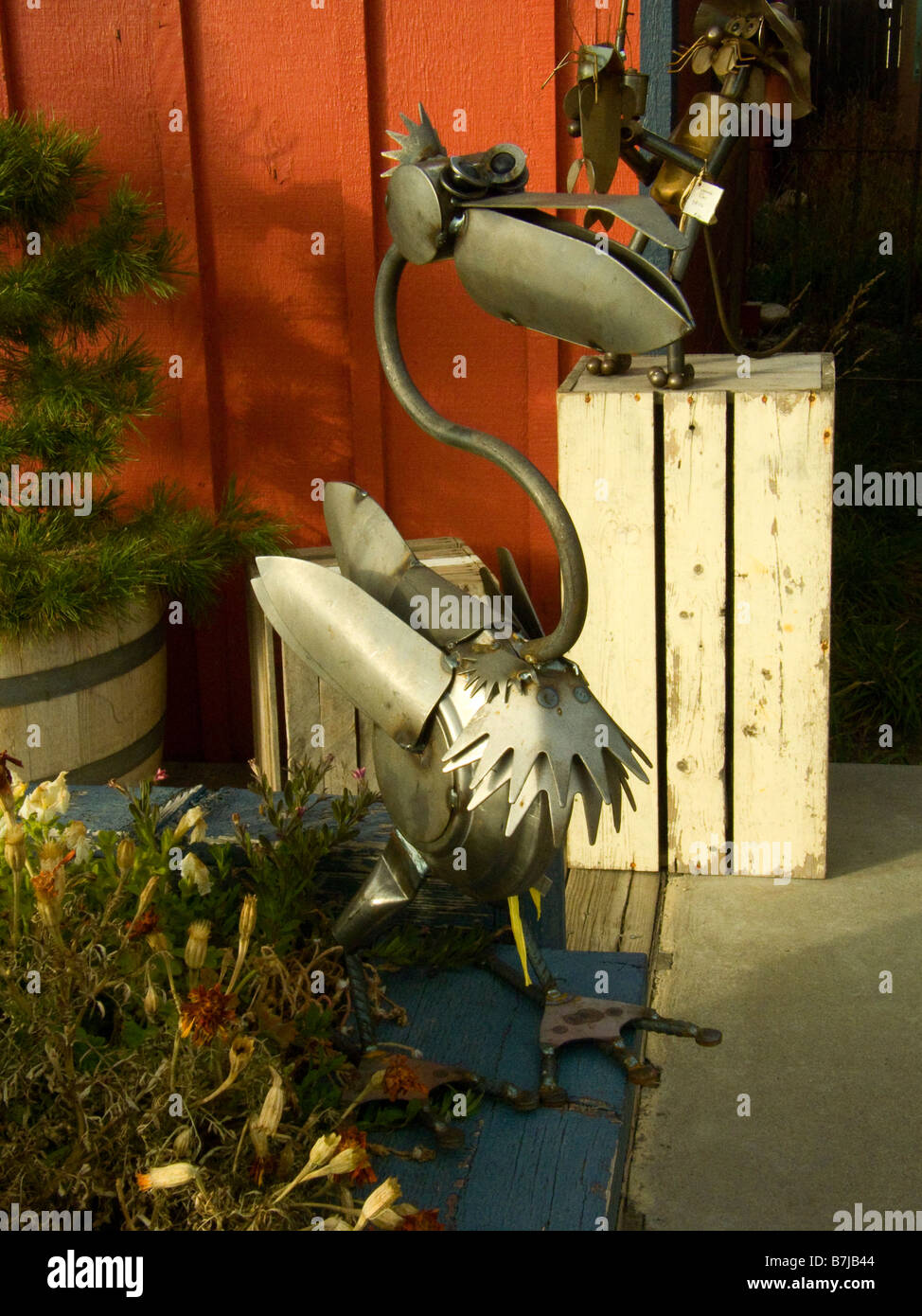 Tin bird hi-res stock photography and images - Alamy