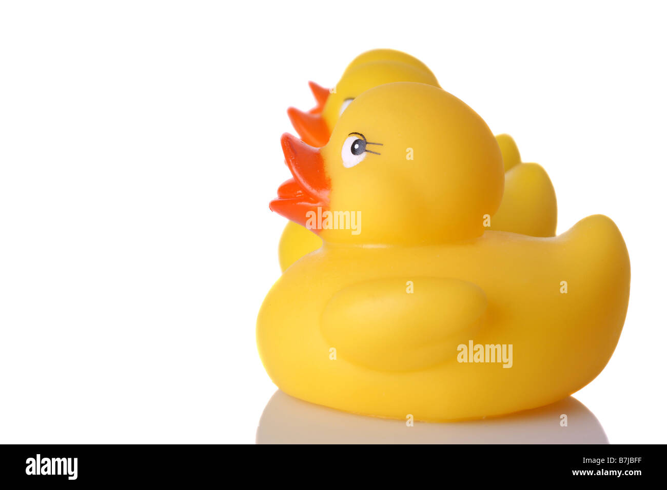 Three little Rubber Ducks sitting in a row with reflection on white ...