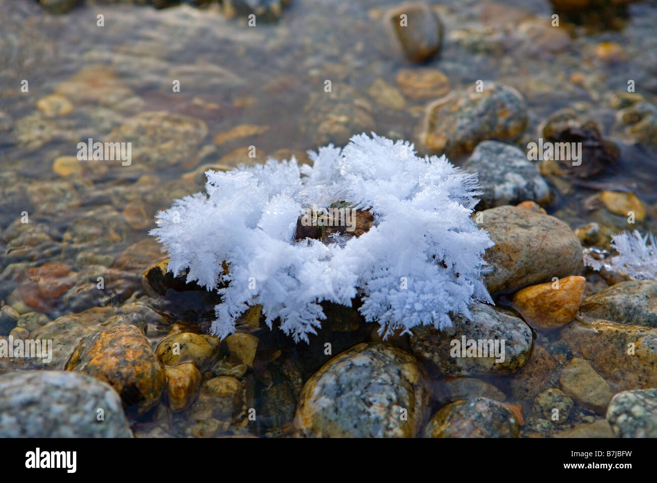 Ice and snow in the river, Courmayeur, Italy Stock Photo - Alamy