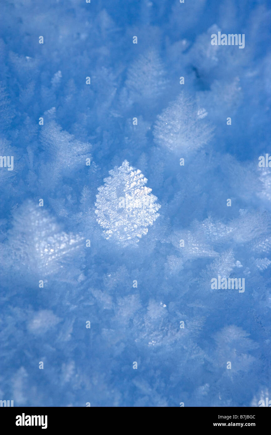 Ice cu hi-res stock photography and images - Alamy