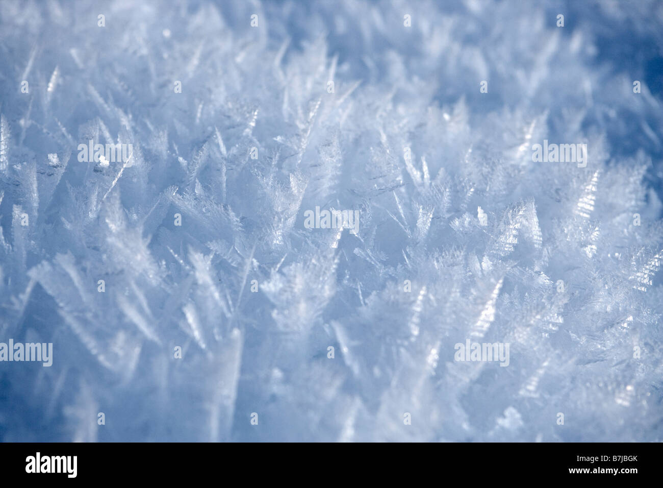Forest and crystal hi-res stock photography and images - Alamy