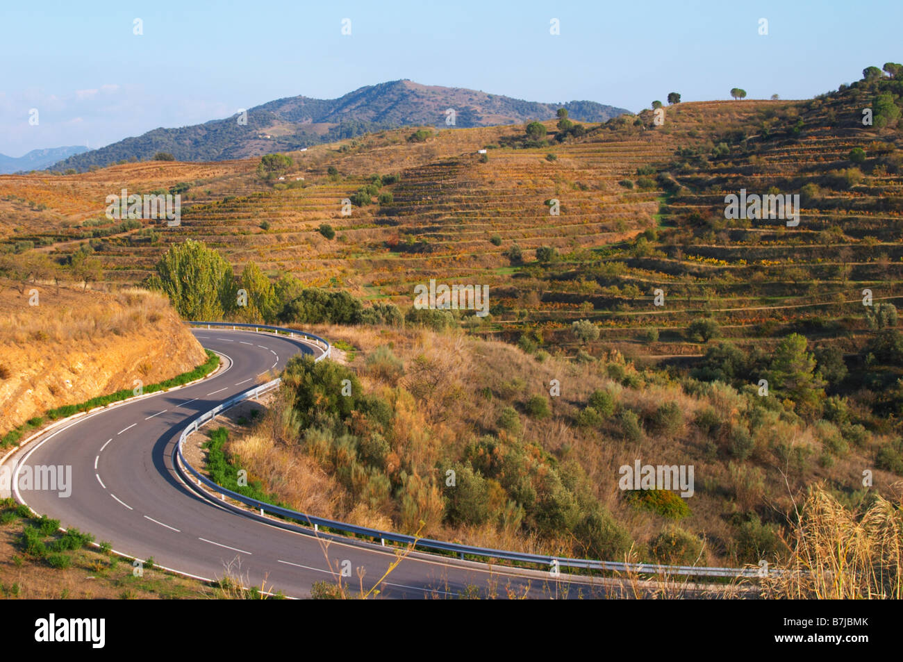 Priorat Vineyards High Resolution Stock Photography and Images - Alamy