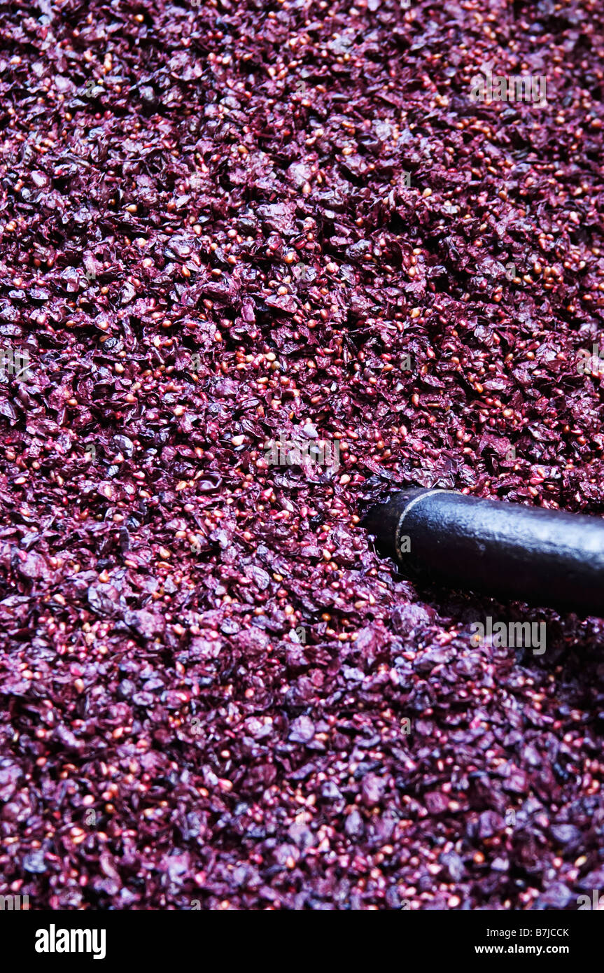 Grape press residue hi-res stock photography and images - Alamy
