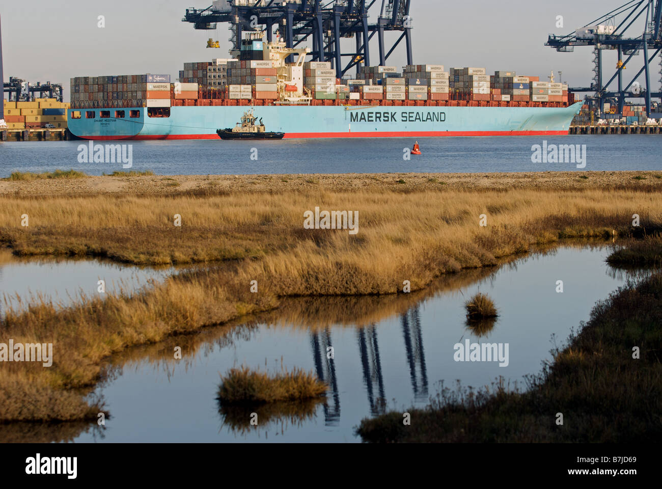 Maersk Sealand Container High Resolution Stock Photography and Images ...